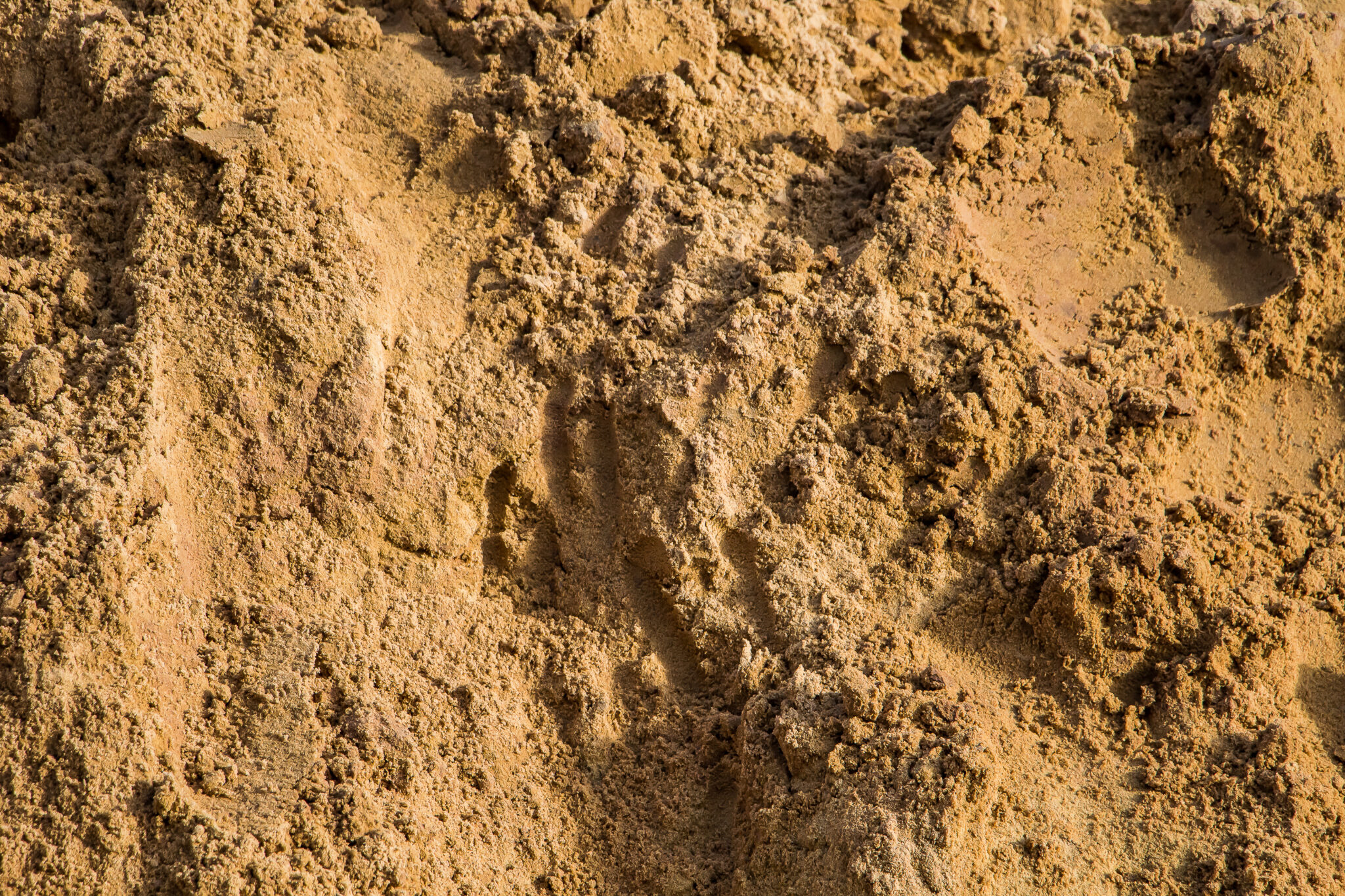 Brickies Sand Perth - Premium Allsands